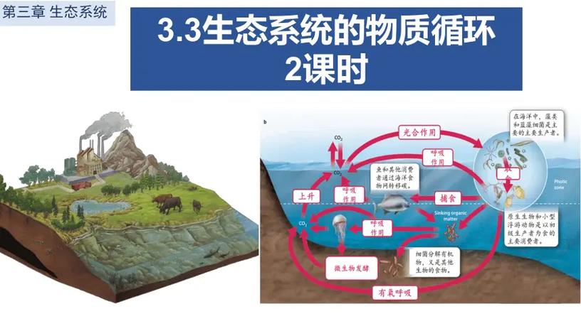 我的世界生物跟随玩家指令图标