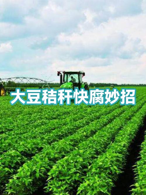 怎样将植物快速腐化图标