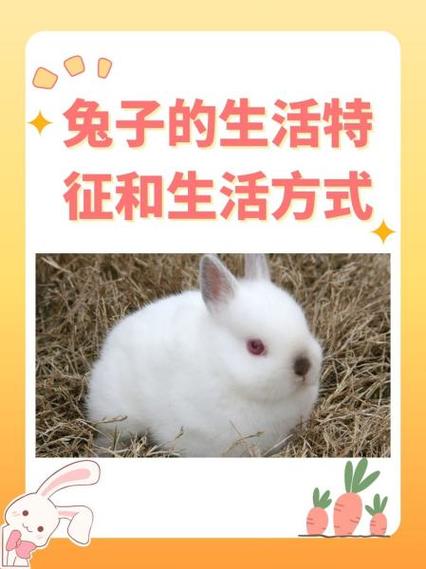 《兔生活》试玩版截图