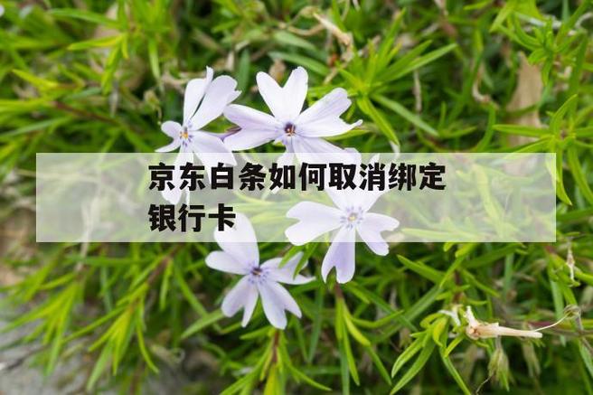 解除白条绑定的银行卡图标