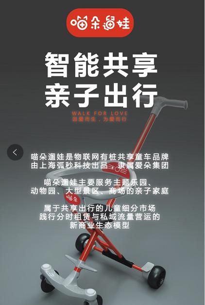养猫需要带它出去玩吗图标