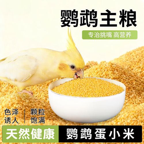 鸟粮带壳不带壳的区别图标