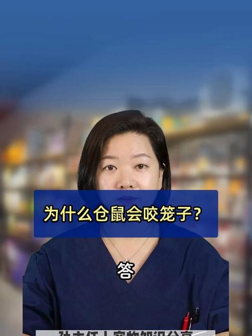 仓鼠为什么一直啃笼子还爬笼子图标