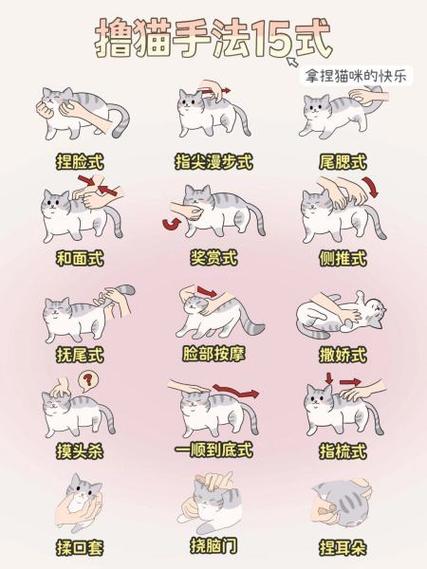 有效互动方法有哪些图标