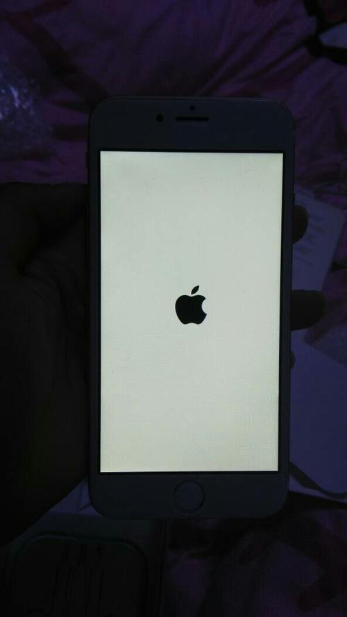 iphone开机闪一下白屏就灭截图
