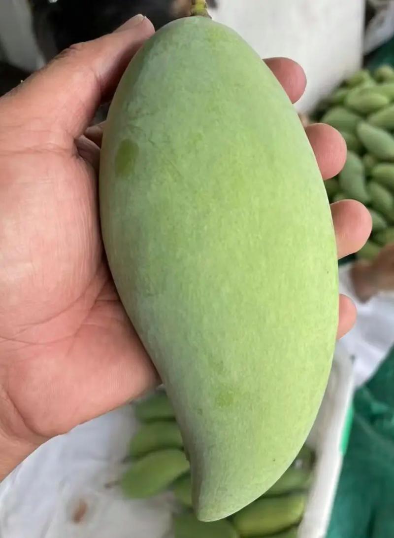 蜂芒是什么意思图标