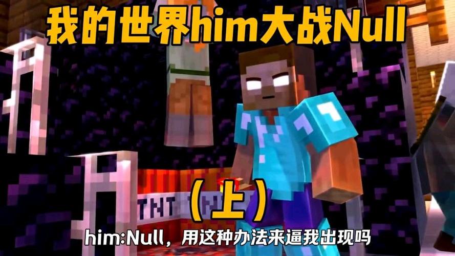我的世界null大战him图标