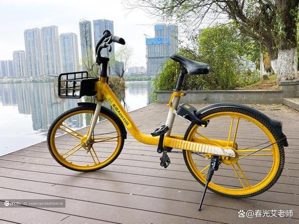 美团单车免费月卡图标