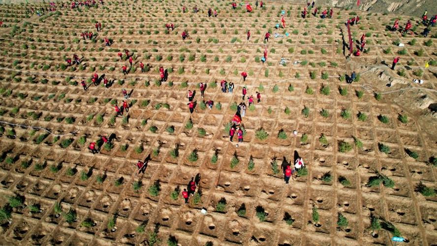 全民种植图标