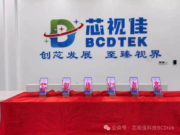 深圳市芯视佳半导体科技有限公司图标