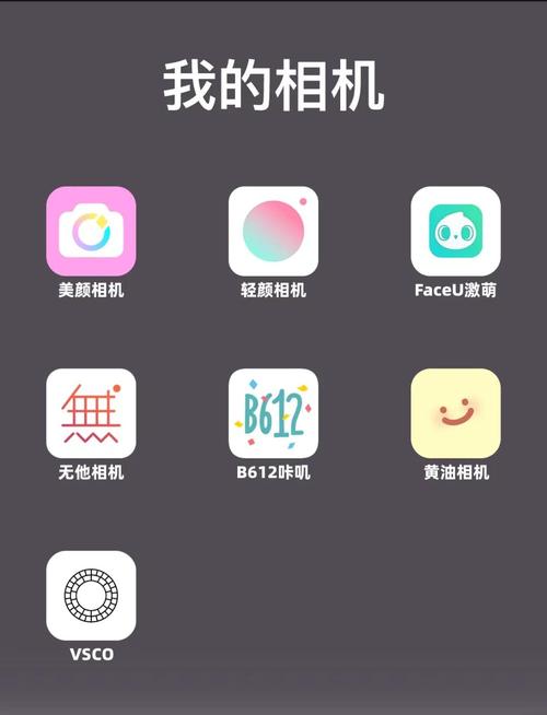 苹果手机用什么美颜相机拍照好看图标