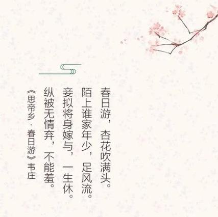 年少青衫薄原文图标