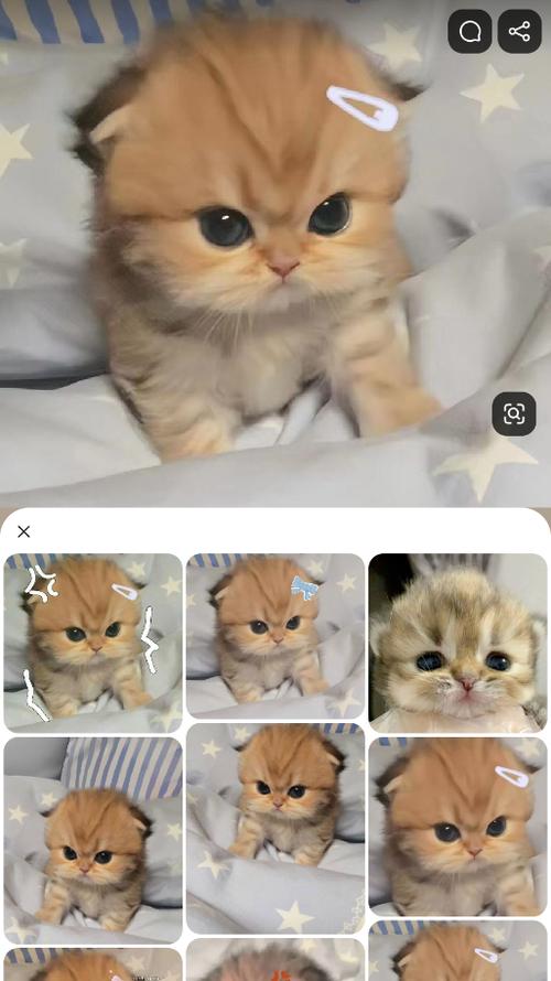 极速版Pinterest截图