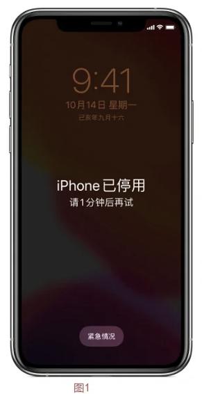 苹果密码错误后多久可以恢复使用截图