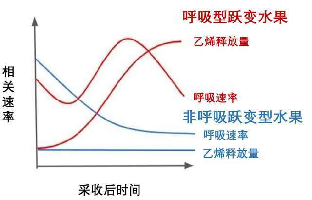 experience词性转换图标