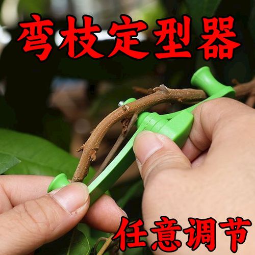 固定器怎么取下来图标