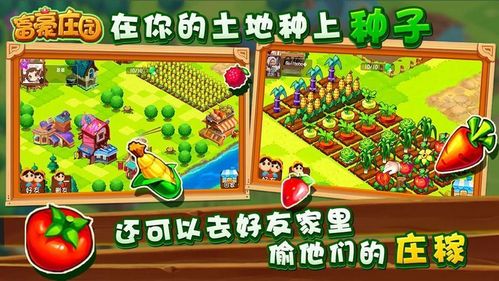功夫农场富豪庄园图标