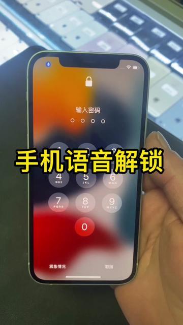 vivo不能解锁还有语音提示截图