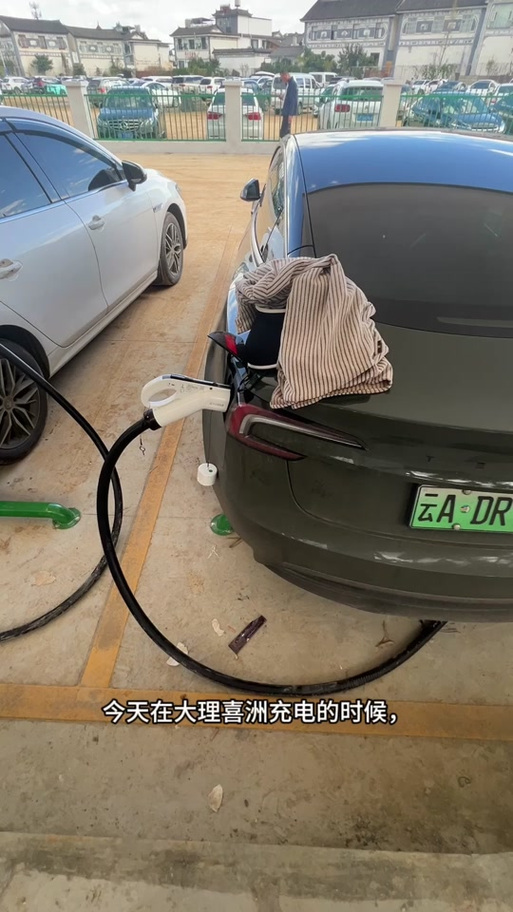 特斯拉充不上电啥原因截图