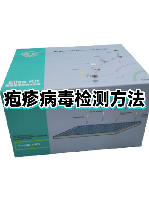 病毒检测方法图标