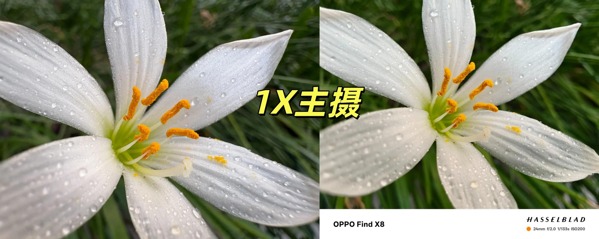 苹果手机 微距截图