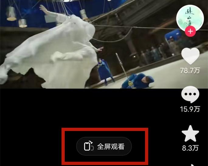 网页看视频如何全屏播放图标