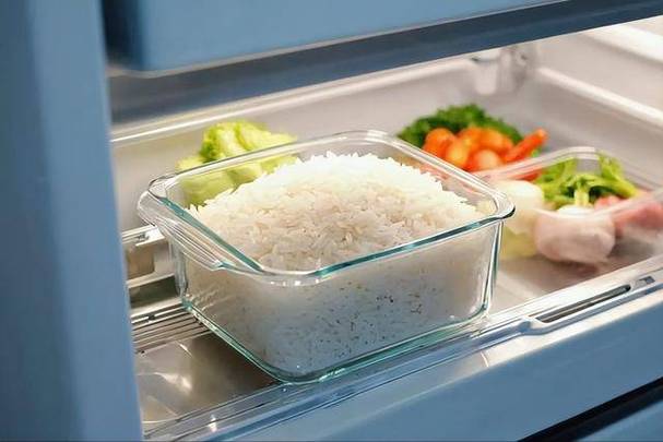米饭可以冷冻保存多久图标