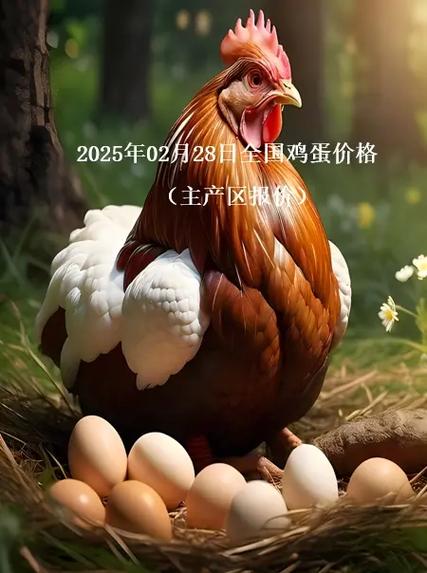 中国蛋商联盟平台截图