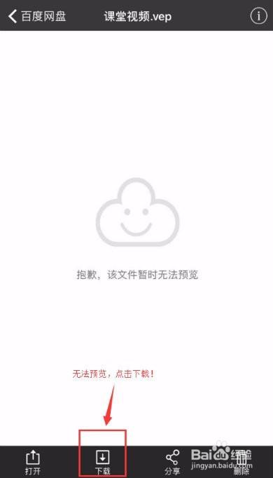 大黄蜂加密视频软件破解版图标