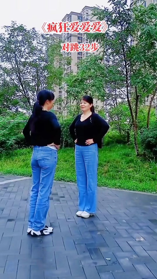 好看的双人对跳广场舞截图