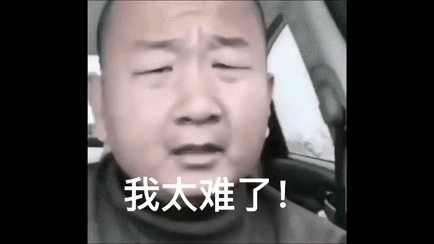 giao哥为什么火