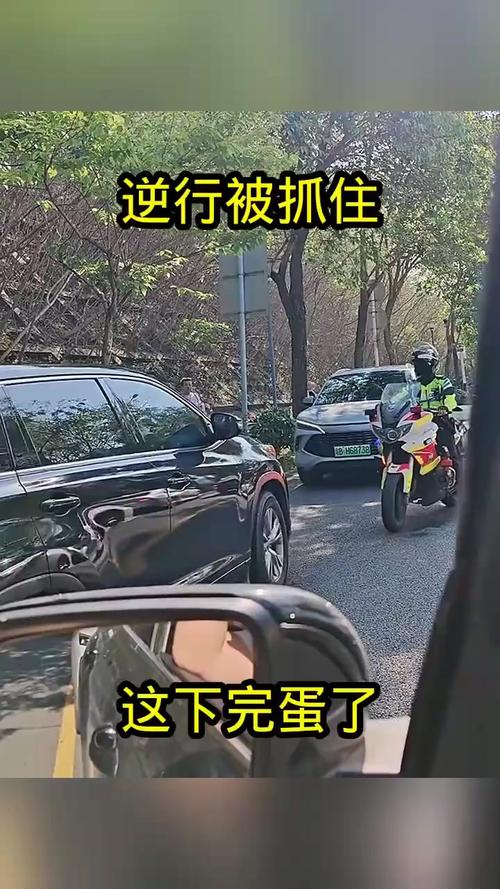 插队车辆碰撞谁责任图标