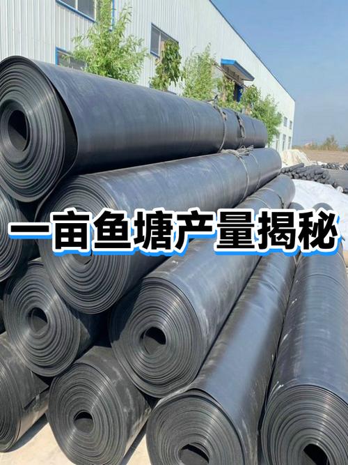 鱼塘跟渔塘的区别截图