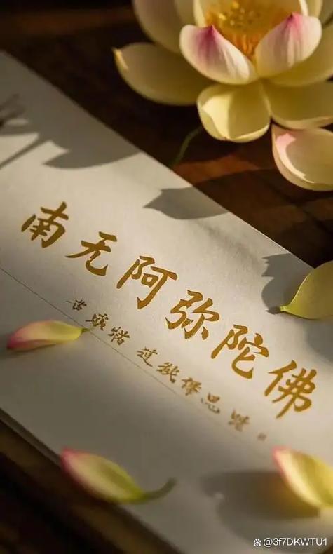南无阿弥陀佛快念版图标