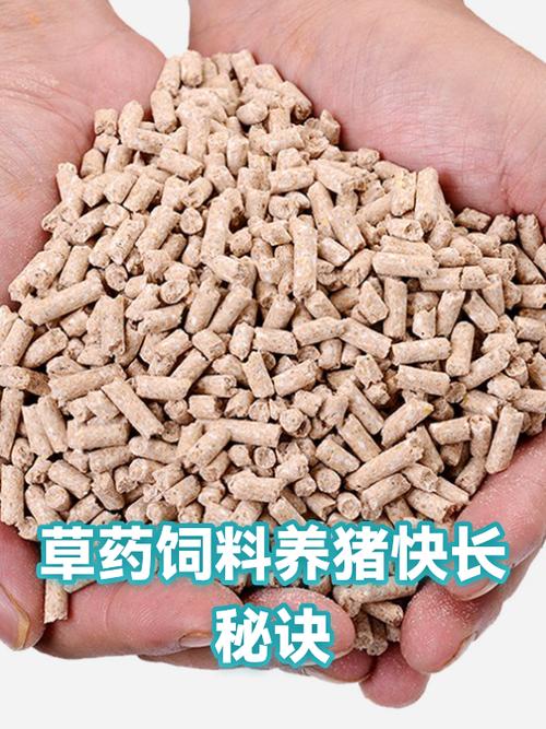 怎么养猪才能长得快截图