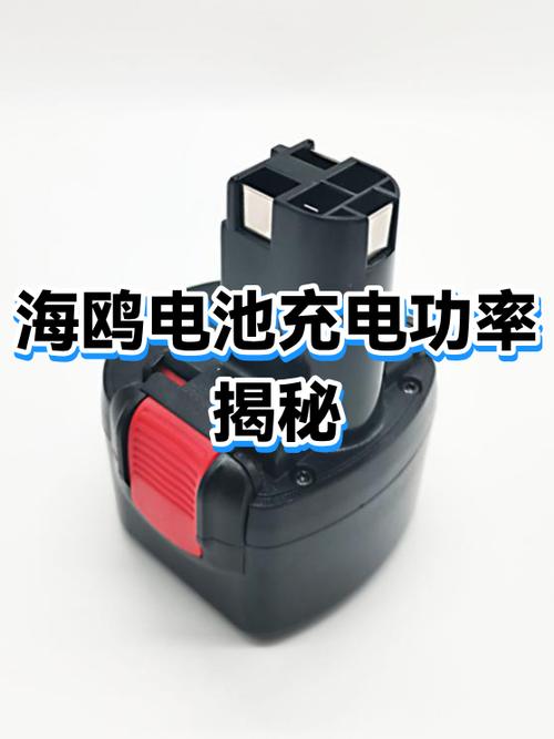 海鸥换电池价格截图