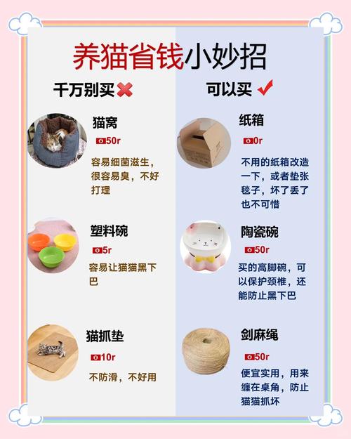 链信分红猫可以干嘛截图