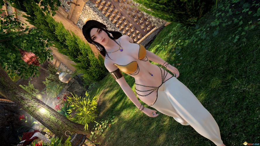 上古卷轴5舞蹈mod整合图标