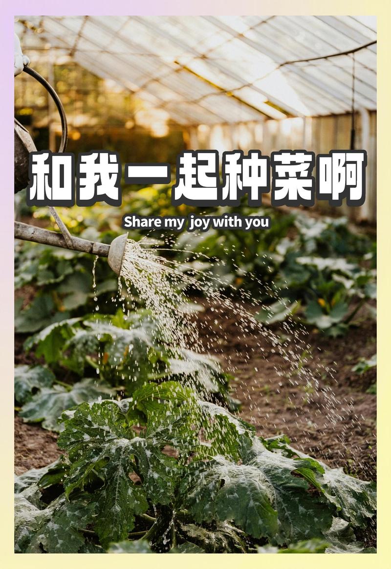省钱优选种地图标