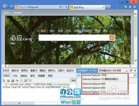 ie8-ie10版本浏览器截图