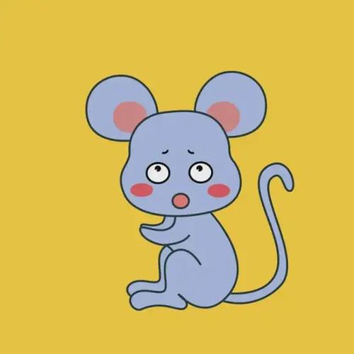 短尾生肖有几个截图