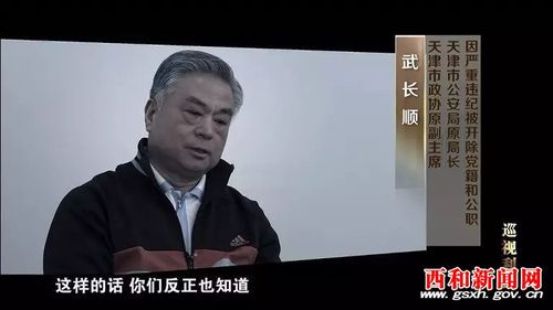 利剑高悬全集观看截图