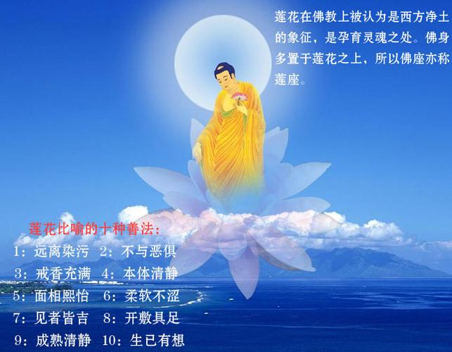 毗尼53咒带拼音图标