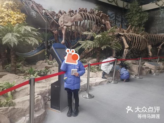 我家博物馆图标