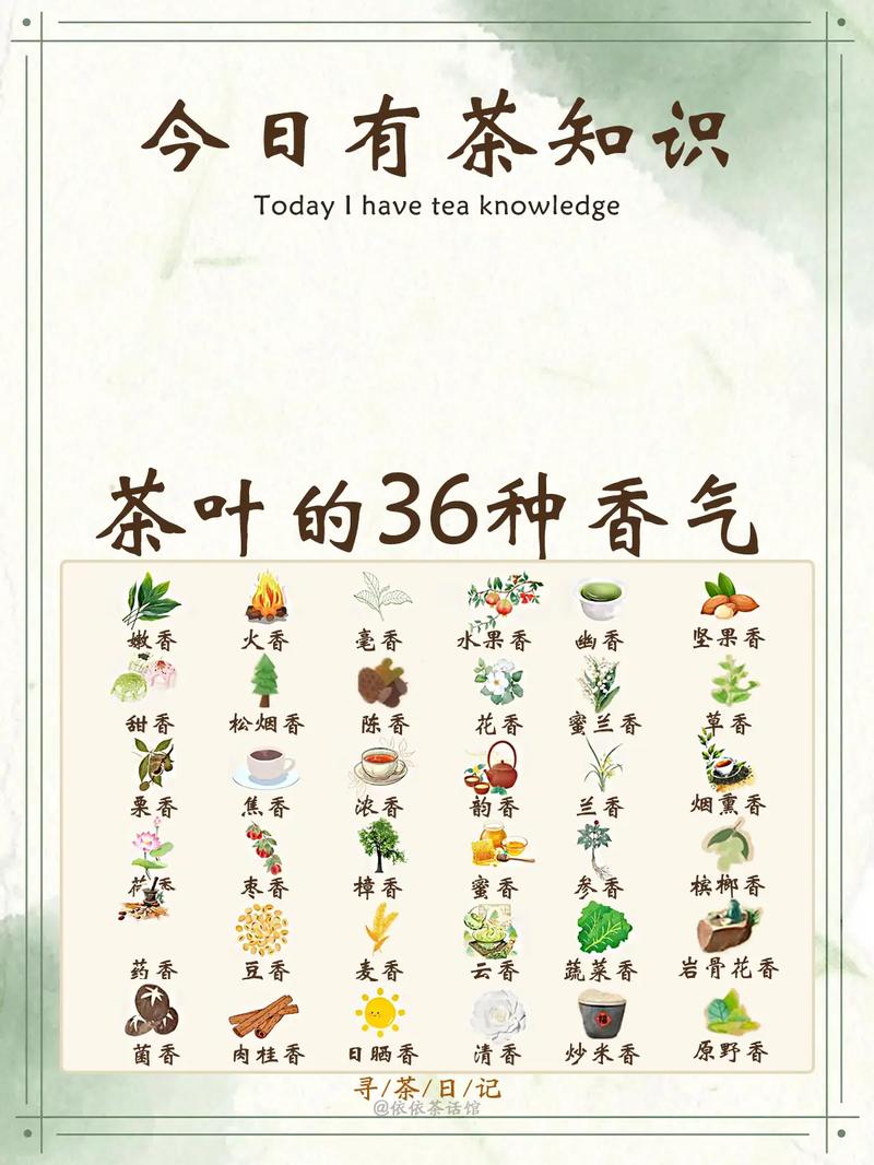 什么茶叶味道最香图标