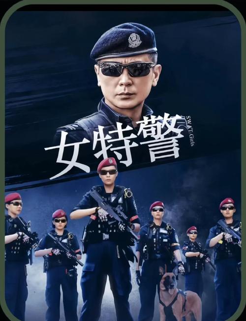 天使行动女特警回家后续1-40集全免费截图