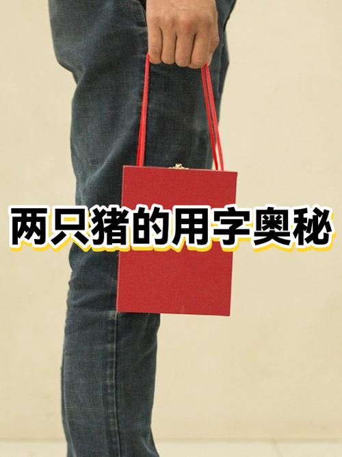 猪的代替字图标