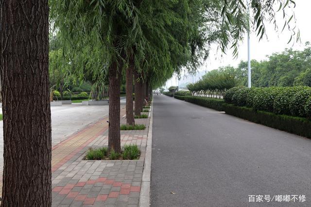 绿线不修有什么后果
