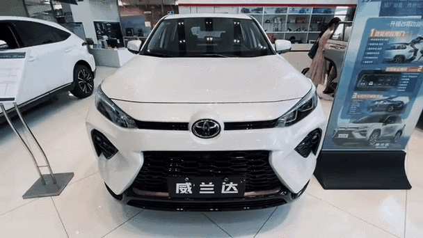 威兰达2022款详细介绍图标