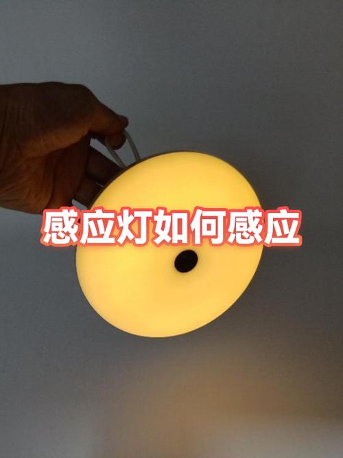 如何让感应灯不感应图标